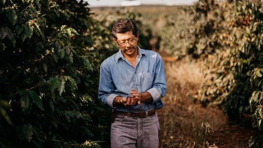 ☕️ Coffee Mori - Cafés especiales de origen y fincas exclusivas